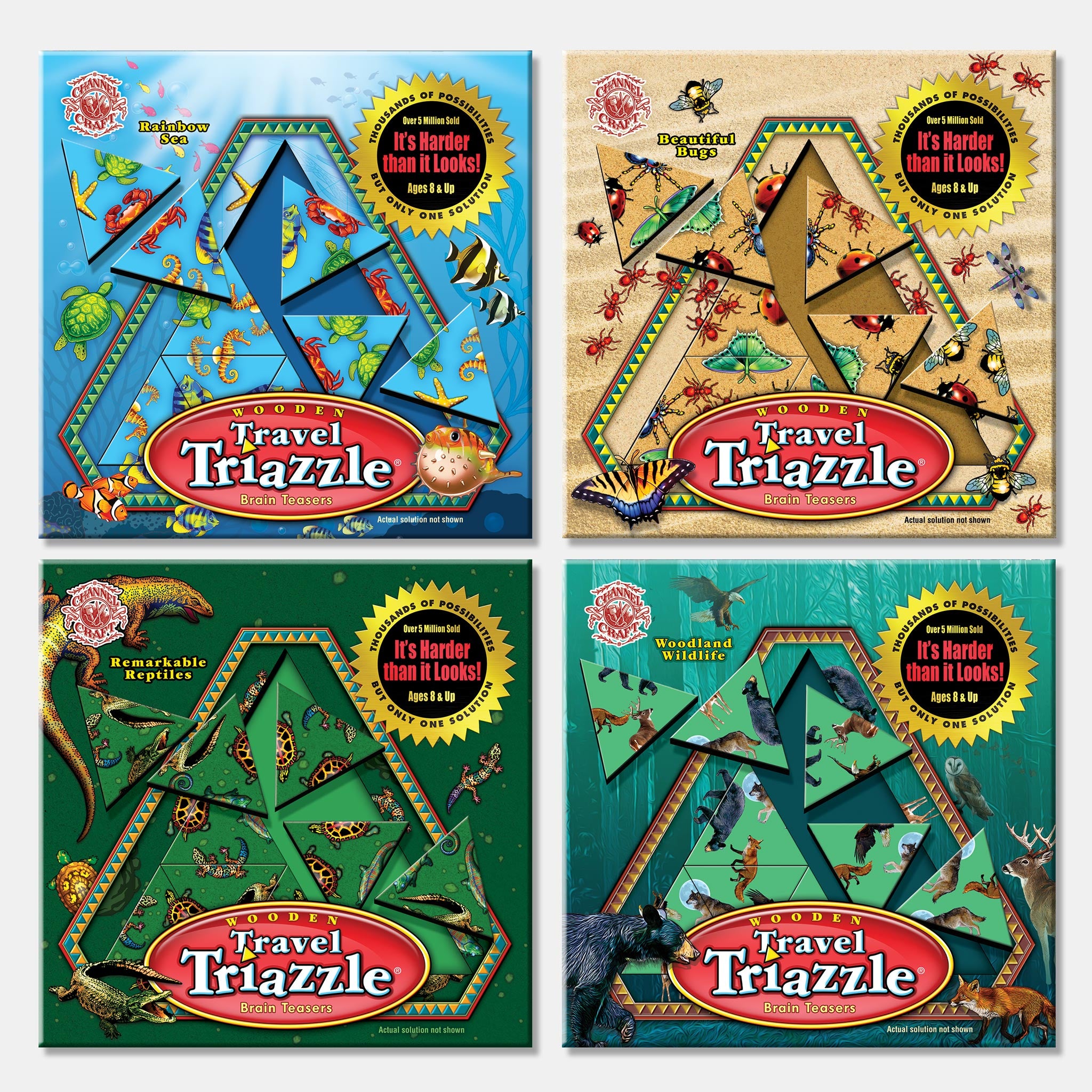 Travel Triazzles – Dan Gilbert Design